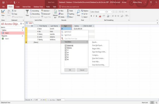 Microsoft Access 2019 Activation License Key - WHOLSALEKEYS