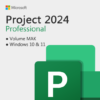 Project Online vs Project 2024 Professional: Cloud vs Desktop Power